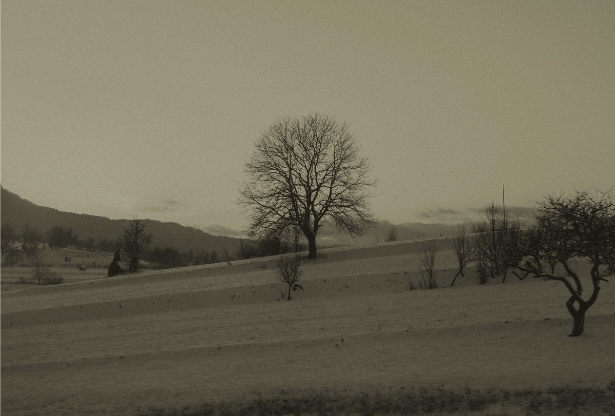 Meze Audio - Design. Comfort. Sound. True high-end.